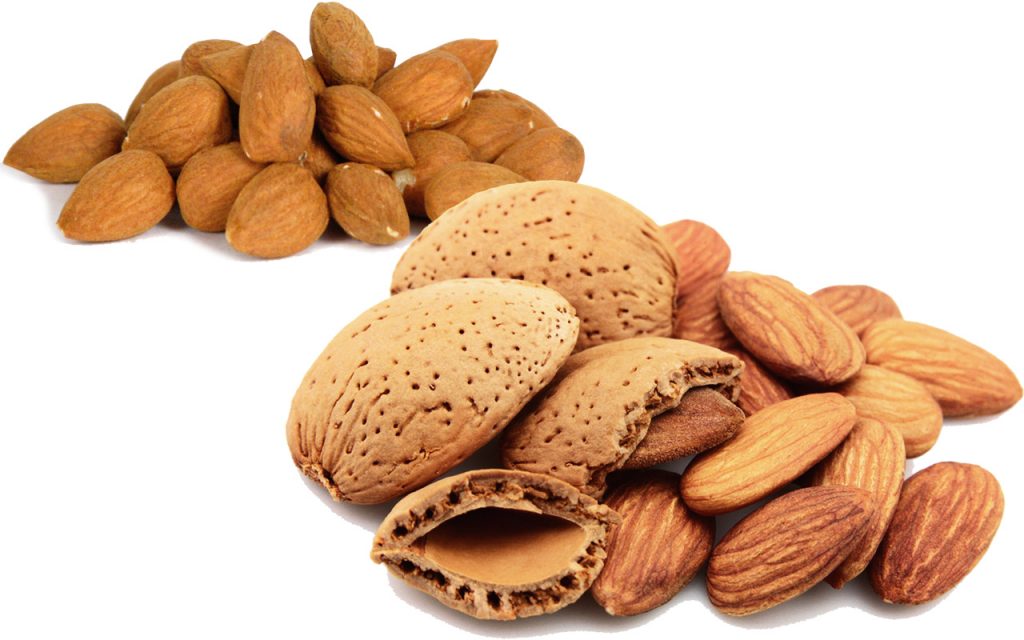 AMÊNDOA – Toda Fruta