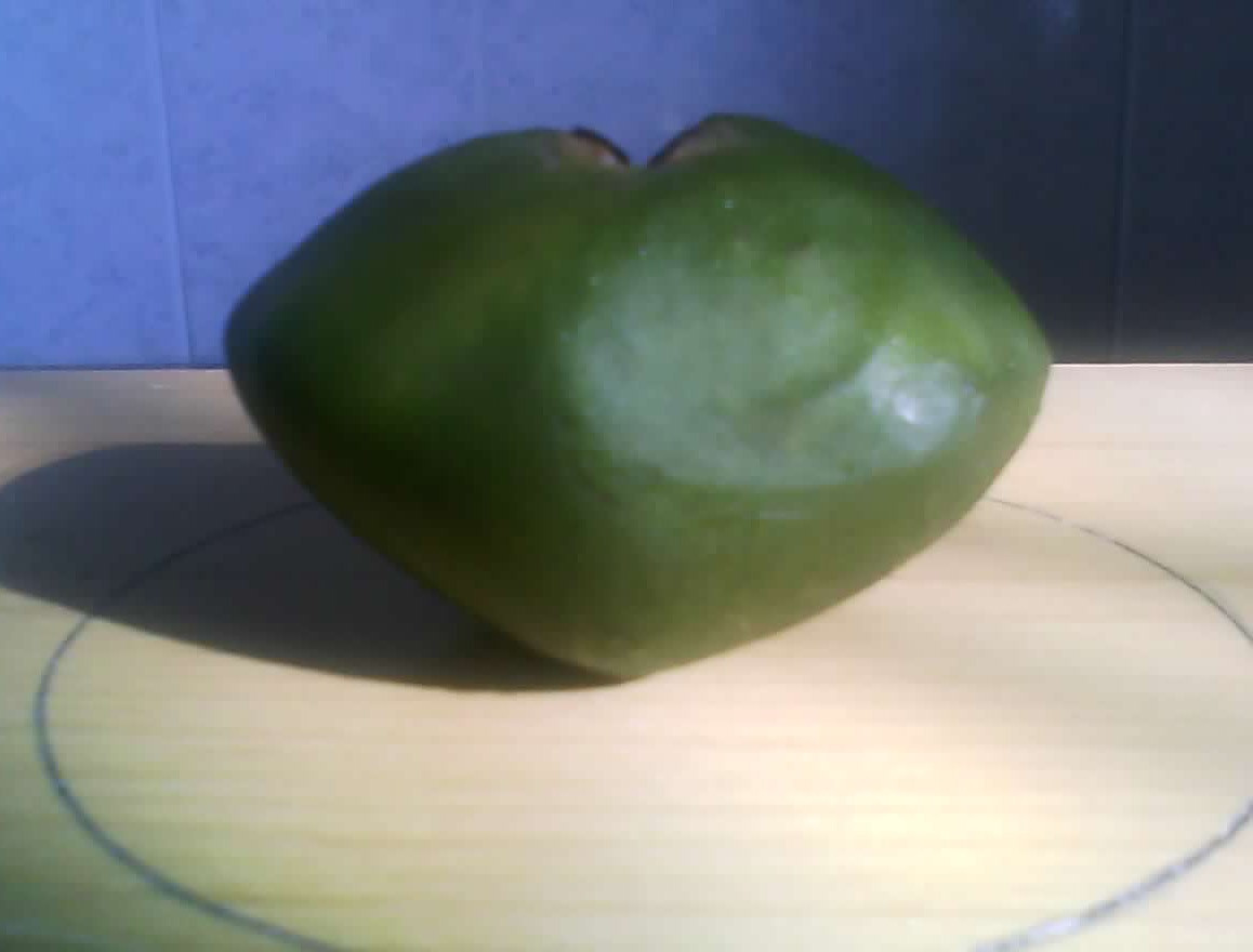 Estágio no Sítio dos Herdeiros: Conhece o CAMBUCI??