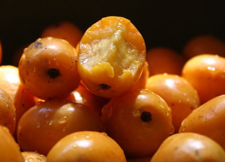 CIRIGUELA – Toda Fruta