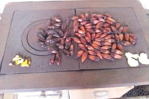 PINHÃO – Toda Fruta